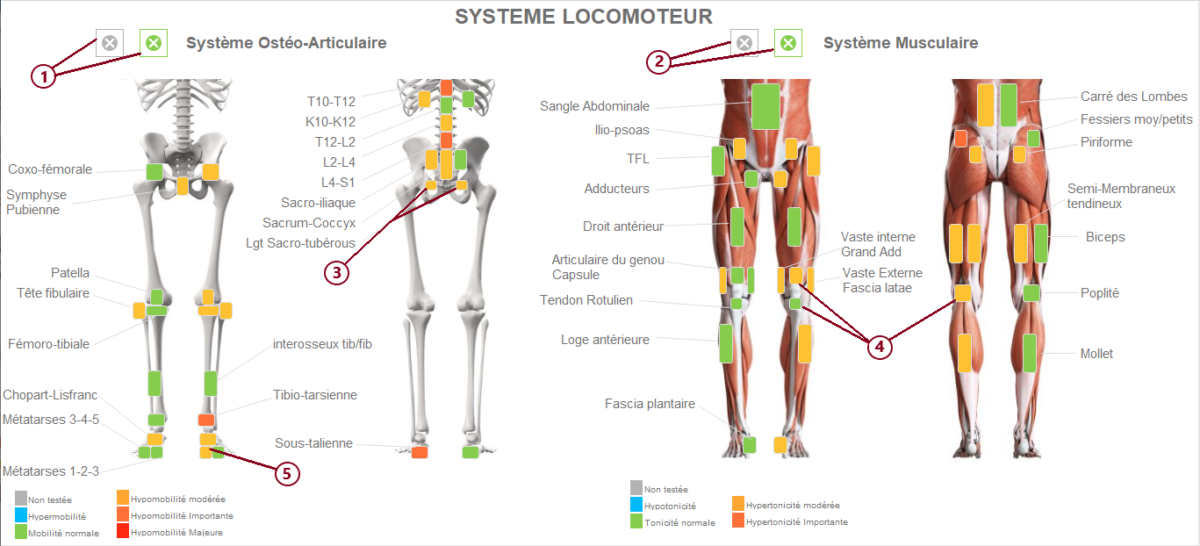 Fiche traitement diagnosteo : Documentation et support